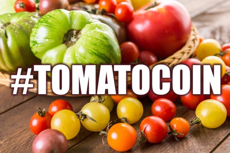 The Blind Squirrel Crypto Portfolio | Metacoin